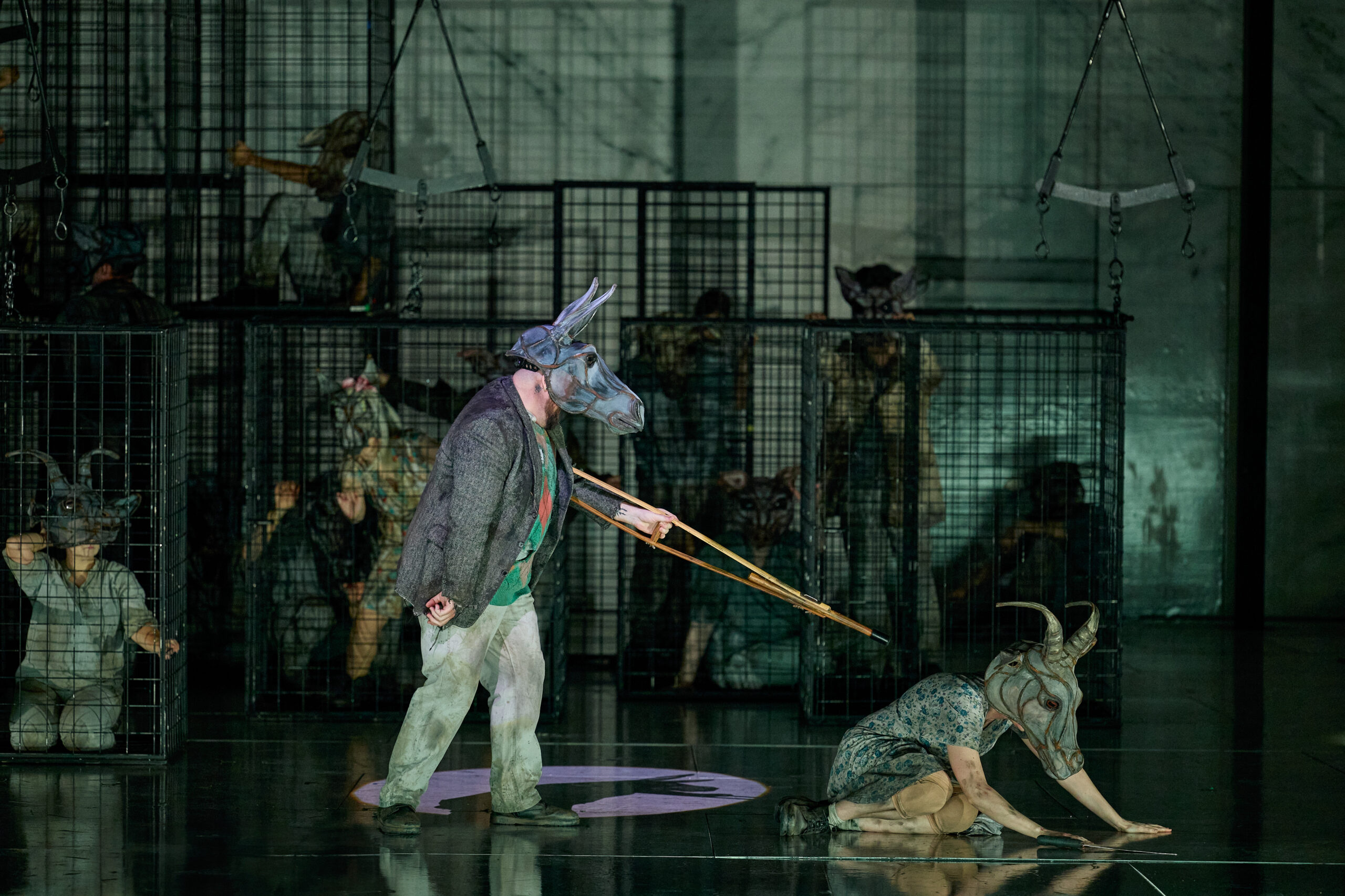 RASKATOV, Animal farm - Helsinki - Forum Opéra